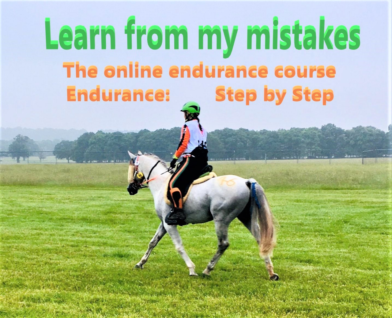 "Endurance: Step by Step", the online endurance coaching course is here ...
